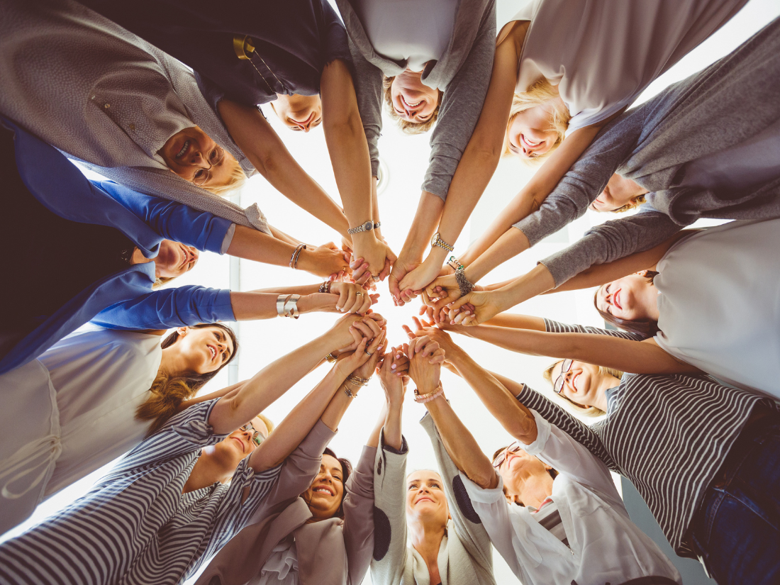 Organisation professionnelle d'équipe